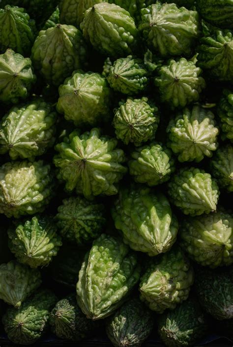 가을 농산물 건강한 식생활 계절 과일 과일 클로즈업 그루터기 나무 껍질 질감 날 음식 녹색 무화과 녹색 무화과 나무 농업 농작물 러스틱 먹을 수 있는