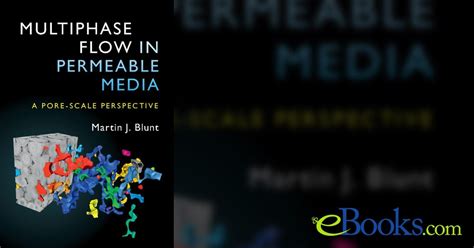 Multiphase Flow In Permeable Media By Martin J Blunt Ebook