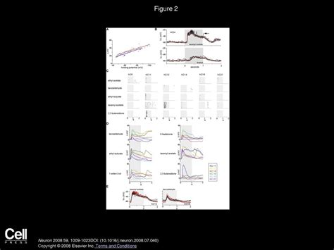 Testing Odor Response Stereotypy In The Drosophila Mushroom Body Ppt