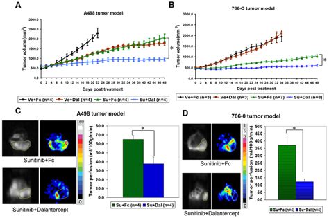 Combination Of Dalantercept With Sunitinib Leads To Durable Tumor Download Scientific Diagram