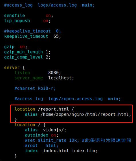 Nginx系列4：用goaccess实现可视化并实时监控access日志 Zkfopen 博客园