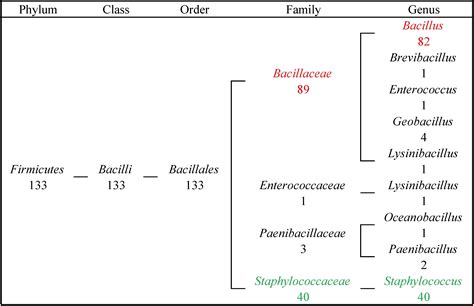 Frontiers Taxonomic Distribution Of Fosb In Human Microbiota And