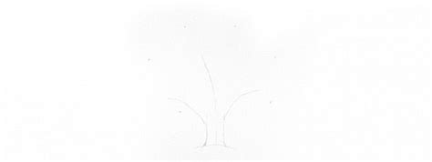 How To Draw Trees Envato Tuts