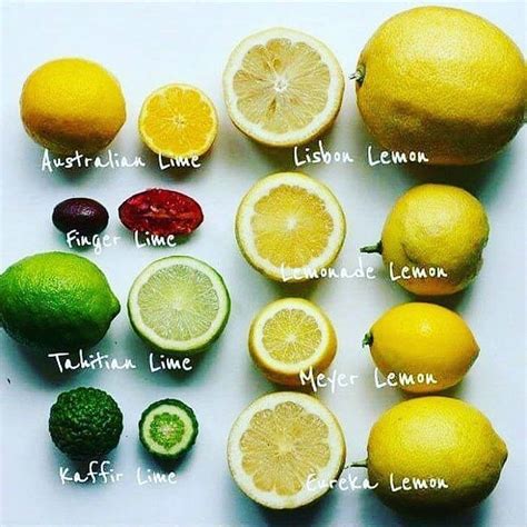 TIP RAWAT JERAGAT DENGAN LIMAU NIPIS Limau Kaya Dengan Vitamin C Yg Bagus Untuk Kulit