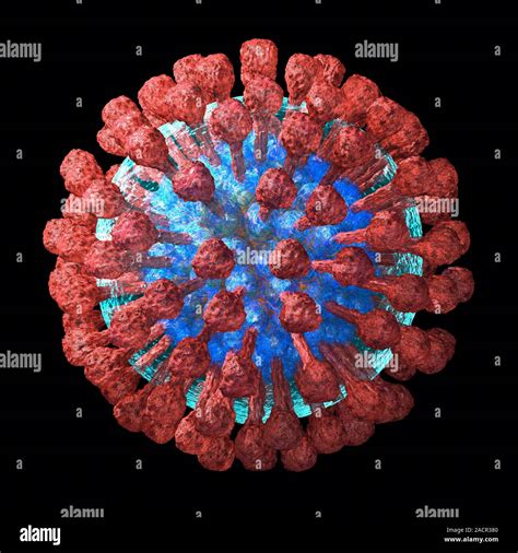 This Image May Not Be Used In Educational Posters Lassa Virus Particle Computer Artwork Each