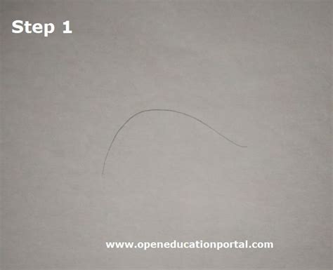 How To Draw Rat A Detailed Step By Step Guide On Drawing A Rat