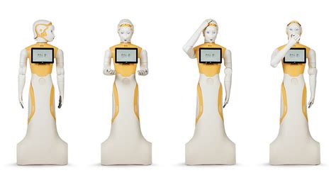 First Software Development Kit For The Social Robot Ari Launched Pal Robotics