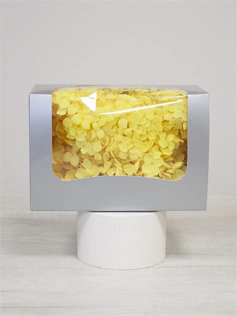 Гортензія стабілізована жовта купити в Україні за низькою ціною • Dfb Elements