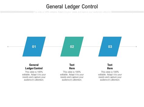 General Ledger Control Ppt Powerpoint Presentation Professional Infographic Template Cpb
