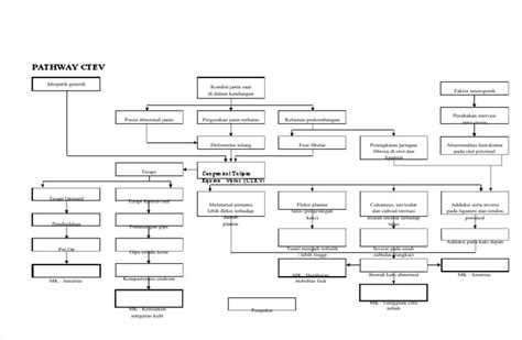 Pathway Ctev Pdf
