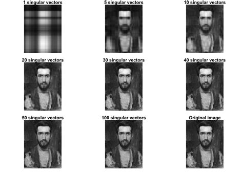 Singular Value Decomposition