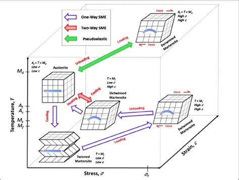Crystal Structure And Phases Of Shape Memory Alloys SMAs Download Scientific Diagram