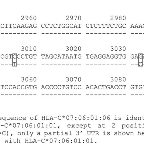 The DNA Sequence Of HLAC Is Identical To The Closest Download Scientific Diagram