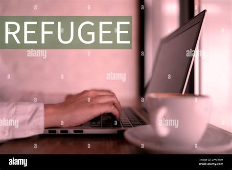 Conceptual Display Refugee Concept Meaning Refer To Movements Of Large