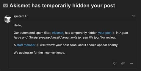 agent issue and “model provided invalid arguments to read file tool