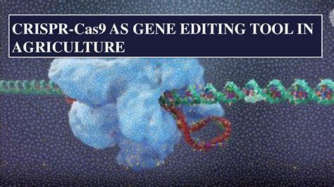 SOLUTION Crispr Cas As Gene Editing Tool In Agriculture Studypool