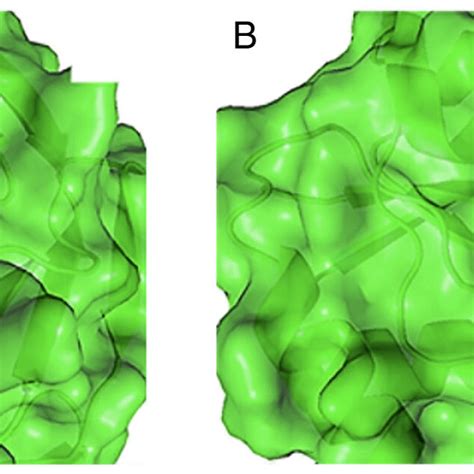 Binding Pocket Interaction A Keap1 Interaction B Nmda