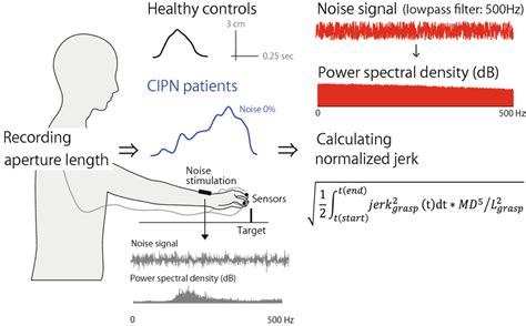 Experimental Setup Of The Kinematic Recording And Evaluating Normalized