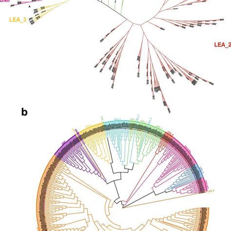Investigated Tomato Genotypes Denotation And Primary Source Download Scientific Diagram
