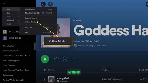 Spotify Offline Mode How To Download And Listen Anywhere 2025 Spotmod