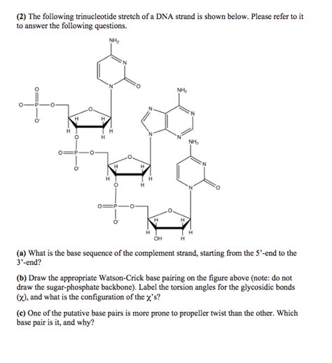 Solved 2 The Following Trinucleotide Stretch Of A Dna
