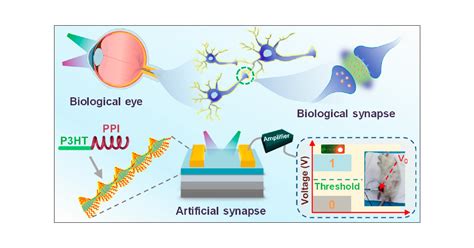 Helical Nanofiber Photoelectric Synaptic Devices For An Artificial Vision Nervous System Nano