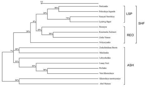 Consensus Rapd Issr Dendrogram Which Demonstrates The Degree Of