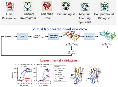 Virtual Labs Five Ai Agents Design And Validate New Sars Cov 2 Nanobodies Deepnewz Bio
