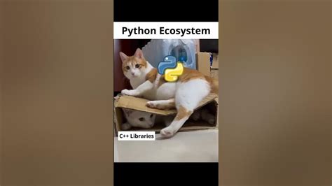 Every Tools Has Its Own Purpose Coding Programming Codingmeme Programmingmeme Youtube
