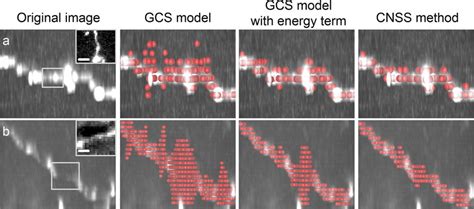 Shape Reconstruction Performances Using The GCS Model Our Core Model Download Scientific