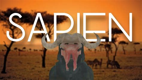 The Revamped Sapien Experience Youtube
