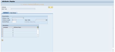 comm attribute sap tcode maintain set types and attributes