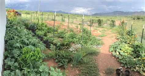Dry Climates Using Rocks And Or Barrier Under Beds To Help Retain Water Hugelkultur Forum