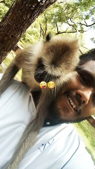 කෑලෑ යාලුවො ටික 🤪 ️ Youtube