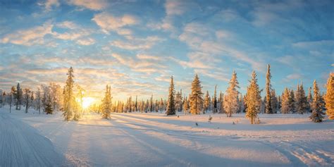 Nordic expands to the German market - Nordic Collection EN