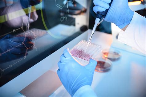 Dose Range Finding In Preclinical Studies Altasciences Blog