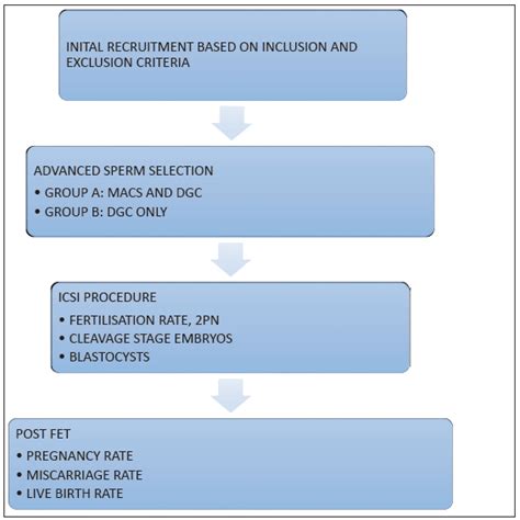 The Impact Of Magnetic Activated Cell Sorting Macs On Assisted Reproduction Outcomes