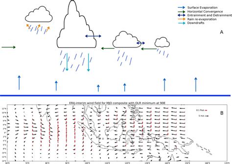 Composite Of Mjo Events 2010 2012 With A Peak Of Convective Activity