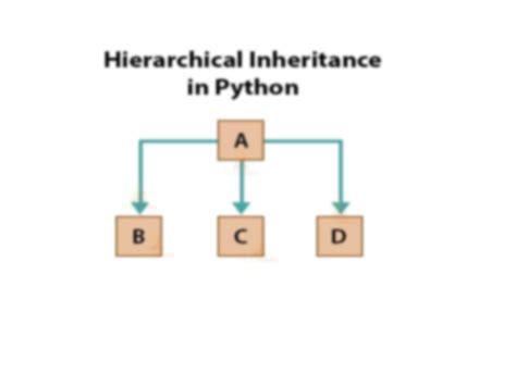 Solution Types Of Inheritance In Oop Studypool