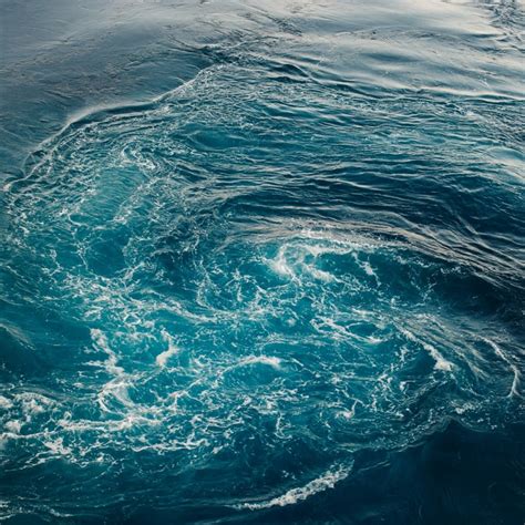 Old Sow Whirlpool Old Sow Whirlpool
