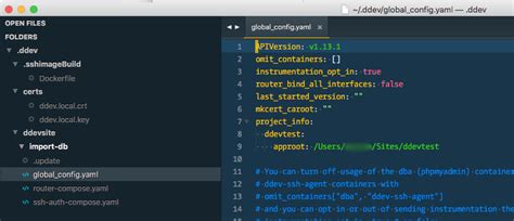First Ddev Start After A Performance Optimization Returned Error