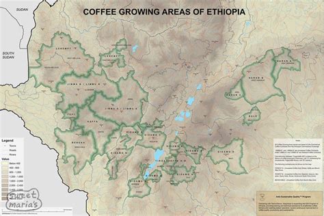 Ethiopia Coffee Overview Sweet Maria S Coffee Library