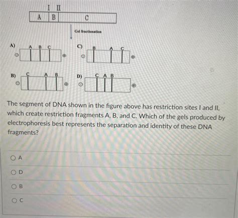 Solved What Is The Function Of Reverse Transcriptase In