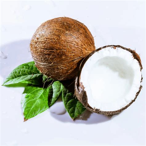 Bug Bar Your Only Earth