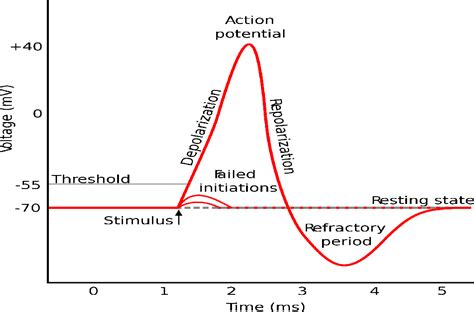 Figure 1 From Coding Theory And Neural Associative Memories With Exponential Pattern Retrieval