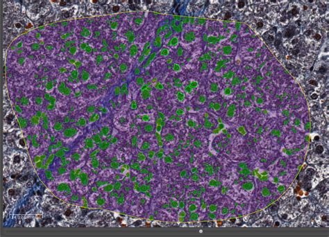 Orbit Image Analysis — Omero Guide Latest Documentation