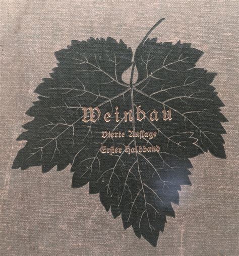 ვაზი და ქვევრი Vine ვაზი და ქვევრი Vine And Kvevri