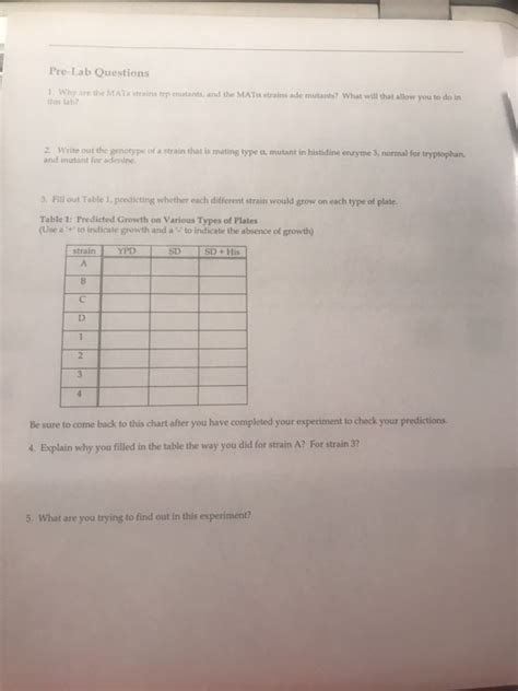 Week 7 Yeast Complementation Laboratory