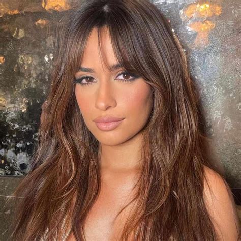 Brown Hair With Caramel And Honey Highlights