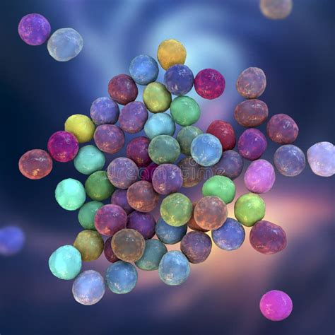 Bacteria Methicillin Resistant Staphylococcus Aureus Mrsa Stock Illustration Illustration Of